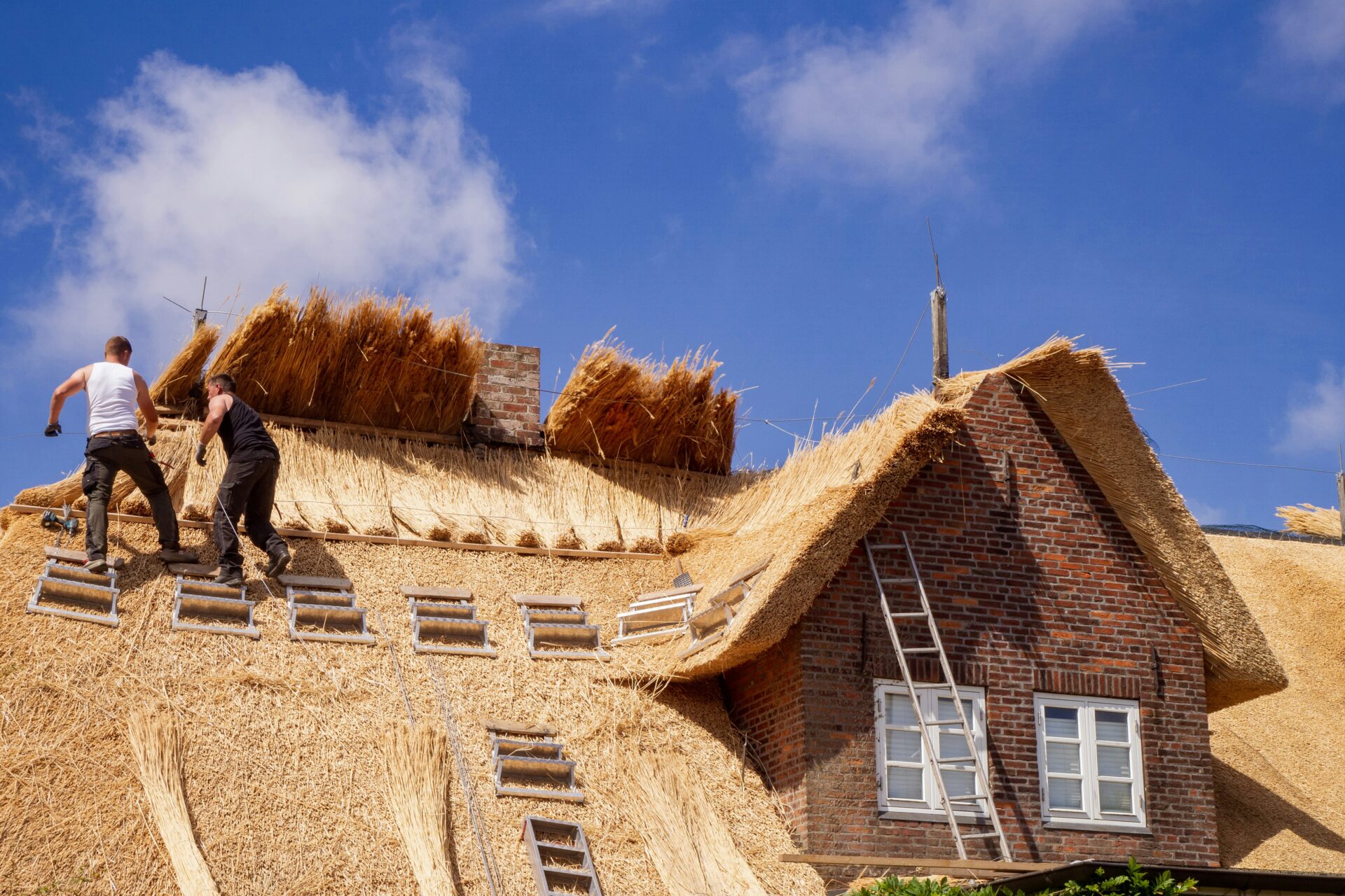 Different Types of Thatch and What You Need to Know - Skilton & Hogg